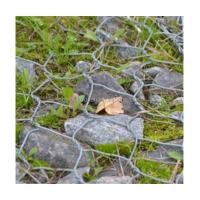 China 80x100mm Aperture PVC Coated Gabion Box Wire Fencing for TT/Western Union Payment Term for sale