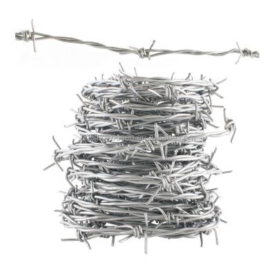 China Sale Galvanized Razor Barbed Wire with Wire Diameter 1.6-3.2mm and Single Razor Type for sale