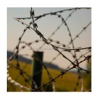China Double Twist PVC Barbed Wire Razor Wire at Affordable for 7.5cm-15cm Barb Distance for sale