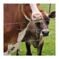China Single Razor Type Iron Wire Garden Farm Anti-Climbing Stainless Steel Razor Wire for sale