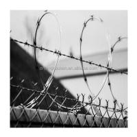 China Single Razor Type Iron Wire Garden Farm Anti-Climbing Stainless Steel Razor Wire for sale