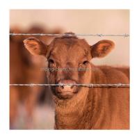 China Galvanized/PVC Coated Barbed Wire Mesh for Protection of Grassland Boundary on Railway for sale