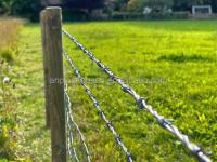 China Galvanized/PVC Coated Barbed Wire Mesh for Protection of Grassland Boundary on Railway for sale