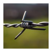 China Galvanized Barbed Wire for Chain Link Fence/Airport Fence 7.5cm-15cm Barb Distance for sale