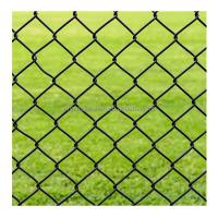 China Galvanized PVC Coated Wire Chain Link Fence for Slope Protection and Animal Fence for sale