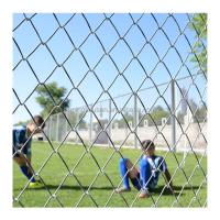 China Modern Stylish PVC Chain Link Fence for Your Garden Open Size 25*25mm and Efficiency for sale