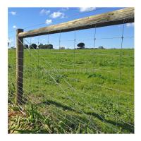 China Length 10-200m Agriculture Field Livestock Wire Fence with Durable Fixed Knot Design for sale