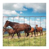 China Length 10-200m Agriculture Field Livestock Wire Fence with Durable Fixed Knot Design for sale