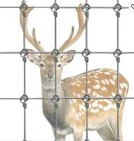 China Rot Proof Fixed Knot Steel Farm Field Fence for Safe and Secure Animal Containment for sale