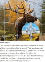 China Rot Proof Fixed Knot Steel Farm Field Fence for Safe and Secure Animal Containment for sale