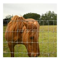 China Farmland Fence Galvanized Fixed Knot Field Wire Hinge Fencing for Rural Panel Fence for sale