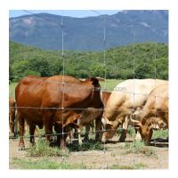 China Pressure Treated Timbers Goat Sheep Hog Game Fencing with 8' Fixed Knot Galvanised Wire for sale
