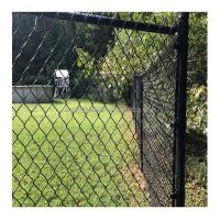 China Galvanized Diamond Chain Link Fence Hot Dipped PVC Coated Wire Mesh for Garden Fence for sale
