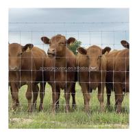 China Hot Dipped Metal Type Iron Chicken Nets Farm Fencing Wire Mesh for Poultry Security Fence for sale