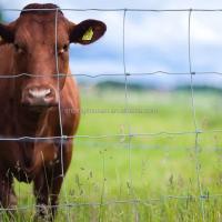 China Galvanized Hinge Joint Fence For Farming And Livestock Protection In Any Climate for sale