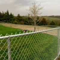 China Plastic Coated Decorative Chain Link Fence with High Tensile Strength and Durability for sale