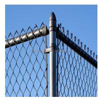 China Pvc Coated Chain Link Fence Mesh for Modern Stylish Garden Protective Fencing and Safety for sale