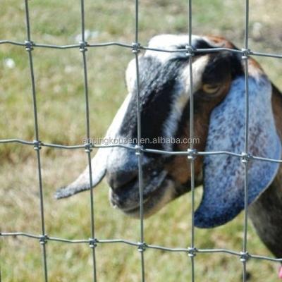 China Metal Type Iron Pasture Fence 2.5mm Wire Diameter for Goat Farming 4ft-5ft-6ft-8ft for sale