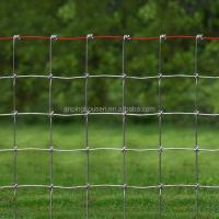 China Metal Type Iron Veld Span Fence and Field Fence Wire Hot Dipped Galvanized for Sqaure for sale