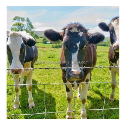 China High Tensile Wire Sheep and Goat Fencing for Agriculture Fields 10-200m Length for sale