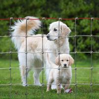 China High Tensile Wire Sheep and Goat Fencing for Agriculture Fields 10-200m Length for sale
