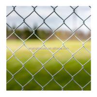 China 5 Foot Coverage Chain Link Fence Low Carbon Steel Wire Garden Fence with Coating for sale