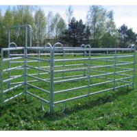 China 8ft Veld Span Field Fence 100m Farm Fencing Net with Galvanized or Hot Dipped Finish for sale