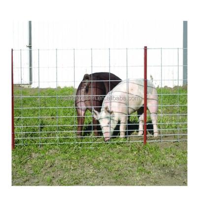 China 1.2m Height Livestock Hinge Joint Knot Veld Span Galvanized Wire Fence for Poultry for sale