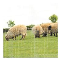 China Square Hot Dipped Galvanized 1.2m Cattle Veld Span Fence of Iron Wire Coating for sale