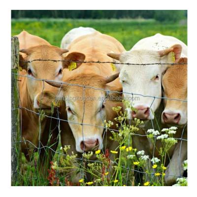 China Galvanized Grassland Wire Mesh Fence for Cattle/Sheep/Field/Deer Farm 7ft x 100ft for sale