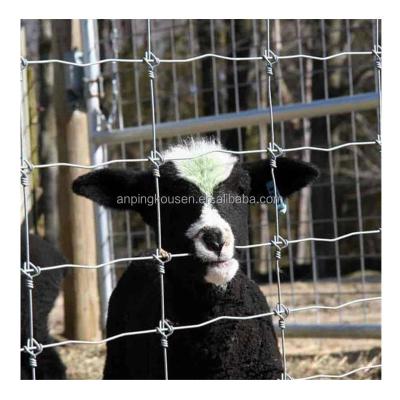 China Galvanized Woven Wire Deer Fence for Farm and Field Kraal Height 0.8-2.4m Heat Treated for sale