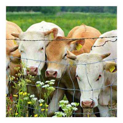 China Sustainable High Tensile Field Fence for Goat/Sheep/Deer 2.0mm-4.0mm Galvanized Wire Mesh for sale