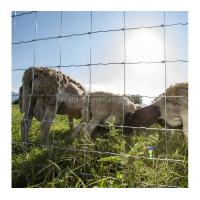 China Agriculture Field Hot Dipped Galvanized Steel Wire Mesh Hinge Joint Fence for Cattle for sale