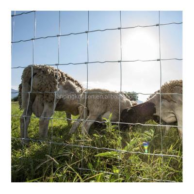 China Agriculture Field Hot Dipped Galvanized Steel Wire Mesh Hinge Joint Fence for Cattle for sale
