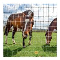 China Agriculture Field Hot Dipped Galvanized Steel Wire Mesh Hinge Joint Fence for Cattle for sale