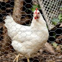 China Agriculture Field Hot Dipped Galvanized Steel Wire Mesh Hinge Joint Fence for Cattle for sale