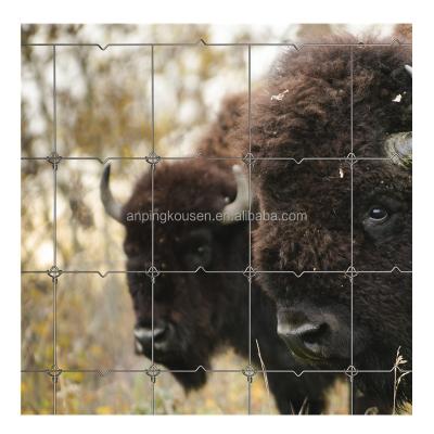 China Farm Cattle Fence Galvanized Field Wire Mesh Sqaure and Powder Coated for Sheep Deer Horse for sale