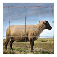China 10-200m Length Galvanized Deer Fence for Farm and Field Kraal Pressure Treated Timbers for sale