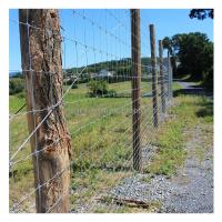 China Rot Proof Farm Fencing Guard with Fixed Knot 8ft x 330 ft Galvanized Steel Metallic for sale