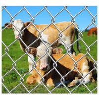 China Galvanized 4ft 5ft 6ft 8ft Height Grassland Guard Agricultural Field Fence for Pasture for sale