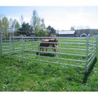 China Galvanized 4ft 5ft 6ft 8ft Height Grassland Guard Agricultural Field Fence for Pasture for sale