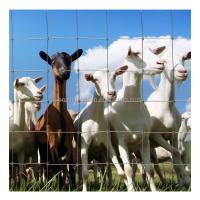 China Cutting Service Offered Affordable Cattle Fence for Farm Animal Safety Length 10-200m for sale
