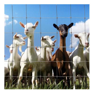 China Hot Dipped 2.5mm 15cm 20cm Hole Size 1.2x100m 10 Lines Fixed Knot Deer Fence Field Fence for sale