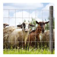 China Fixed Knot Deer Fence Farm Waterproof Hot Dipped Galvanized Animal Hinge Joint Fence for sale