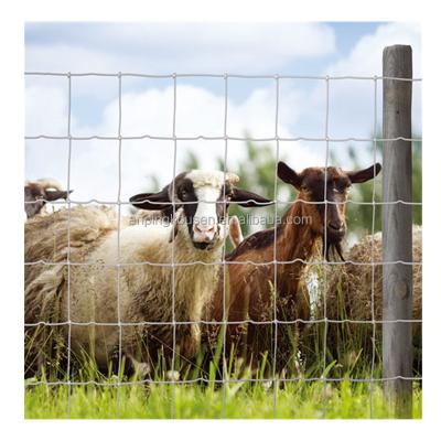 China Fixed Knot Deer Fence Farm Waterproof Hot Dipped Galvanized Animal Hinge Joint Fence for sale
