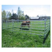 China Height 0.8-2.4m Hexagonal Mesh Wire Netting for Chicken Coop and Farm Animal Fence for sale