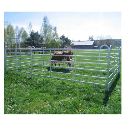 China 12 ft Long 5 ft high used pipe horse corral panel cattle fence panel with long-lasting for sale
