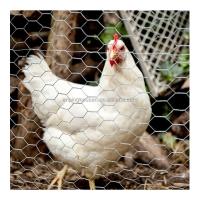 China 0.8-2.4m Height Galvanized Farm Fence Wire Mesh Perfect for Livestock Cattle Sheep Deer for sale