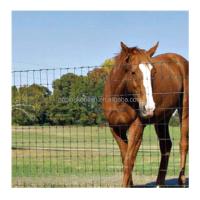 China 0.8-2.4m Height Galvanized Farm Fence Wire Mesh Perfect for Livestock Cattle Sheep Deer for sale