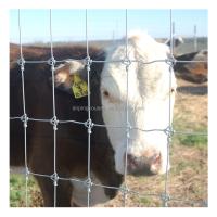 China Fixed Knot Sheep Field Fence Veld Span Goat Proof Fence with 2.0mm-4.0mm Wire Diameter for sale
